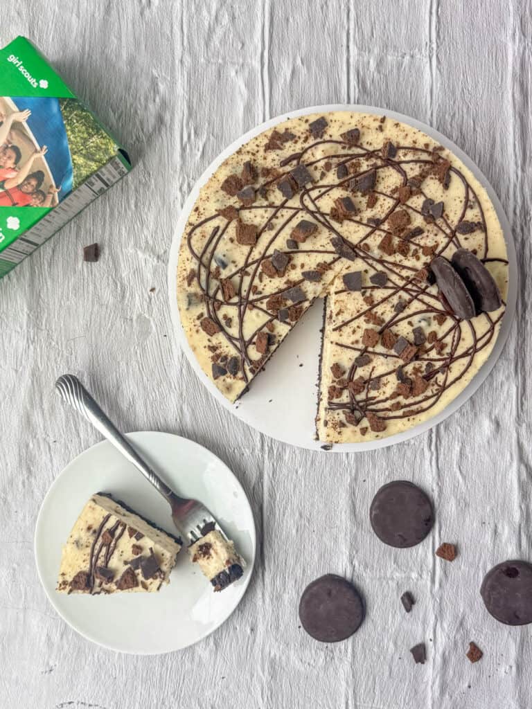 Thin Mints Cheesecake - Next Level Baker