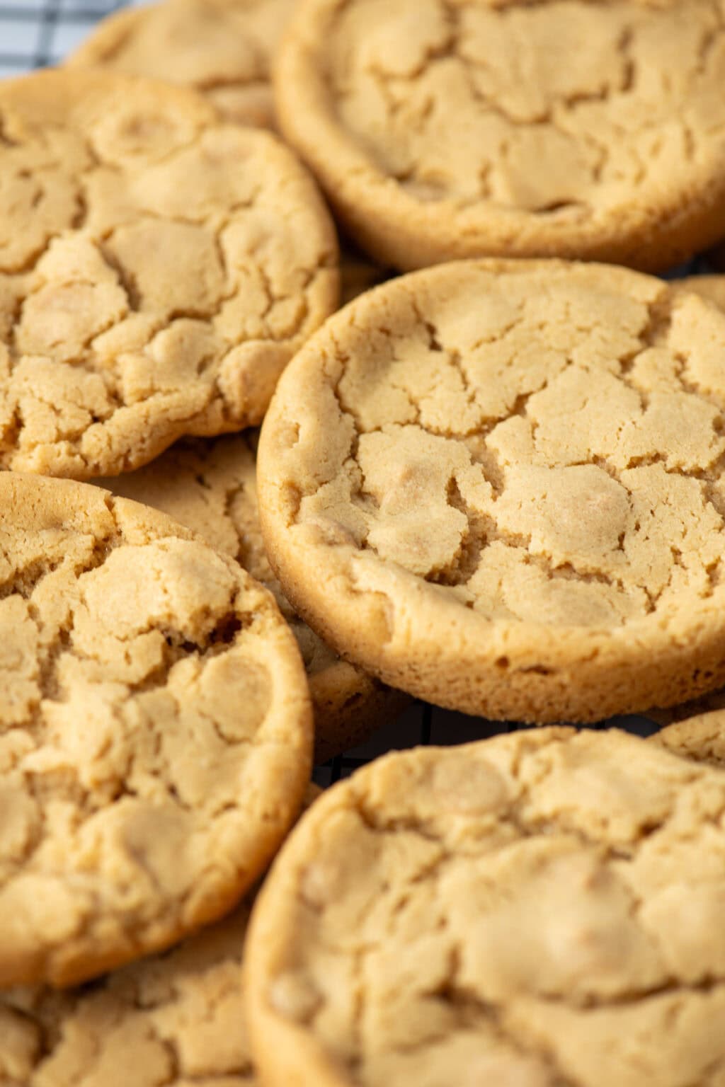 GIANT PEANUT BUTTER COOKIES - Next Level Baker