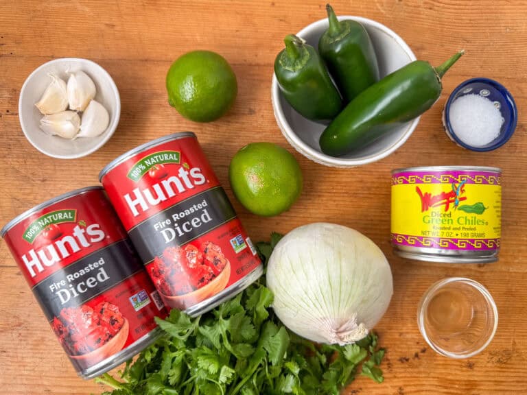 Restaurant Style Blender Salsa - Next Level Baker
