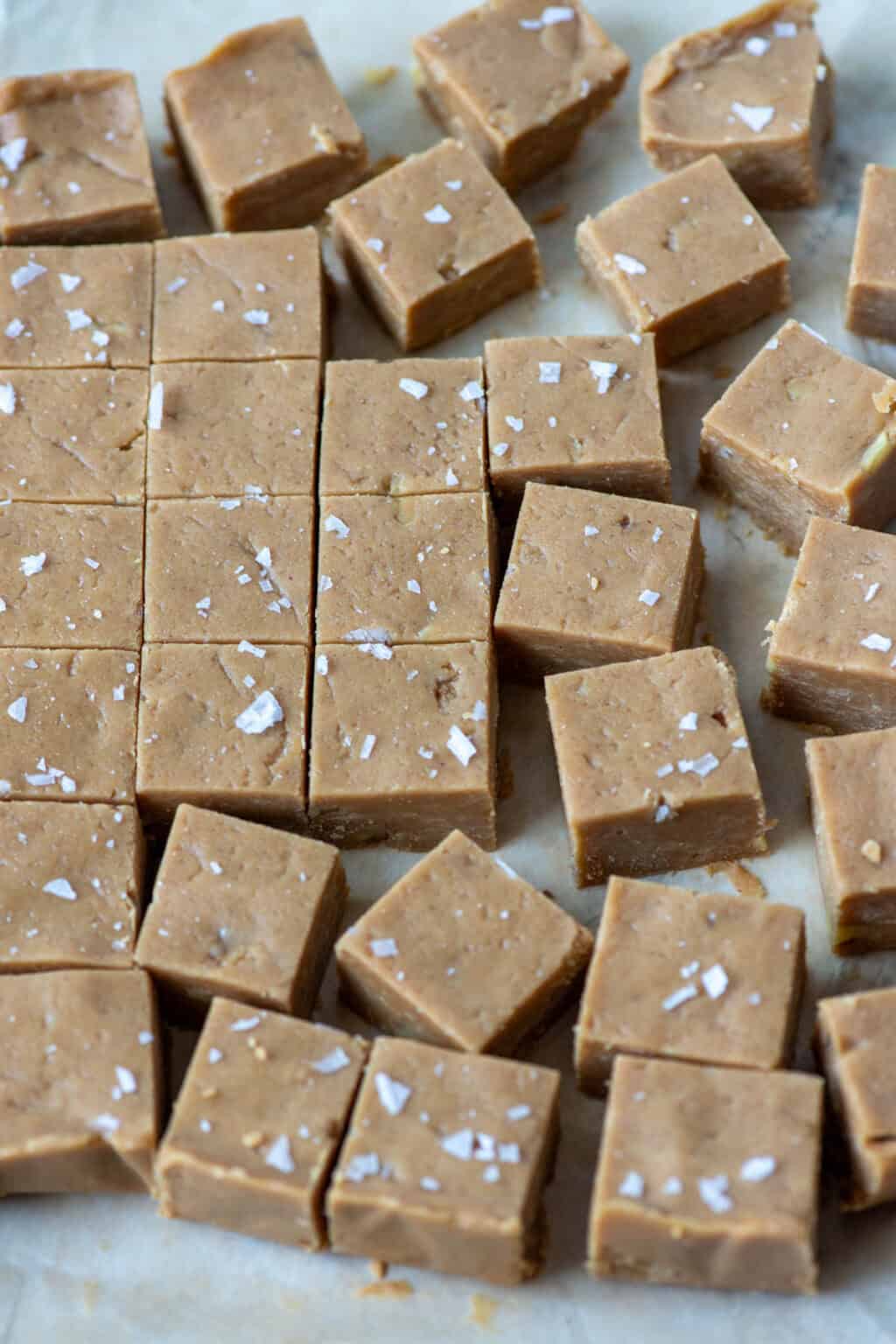 Peanut Butter Fudge with Condensed Milk - Next Level Baker